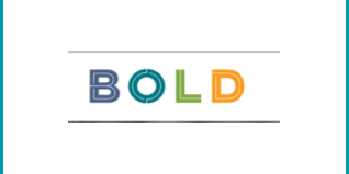 SOFTWARE ENGINEER-UI at BOLD - Noida